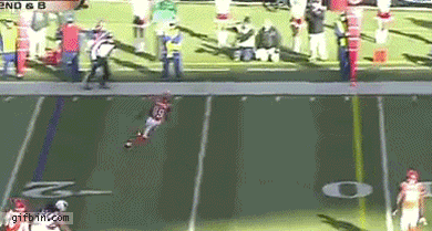 Jerome Simpson Front Flip Touchdown | Best Funny Gifs Updated Daily