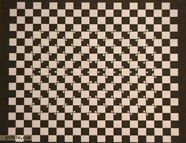 Dots On A Checkerboard Optical Illusion | Best Funny Gifs Updated Daily