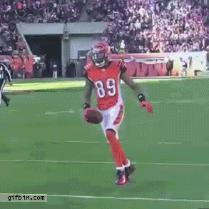 Jerome Simpson Front Flip Touchdown (slo-mo) | Best Funny Gifs Updated ...