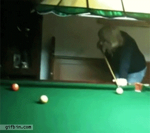 Dog Jumping After Pool Ball | Best Funny Gifs Updated Daily