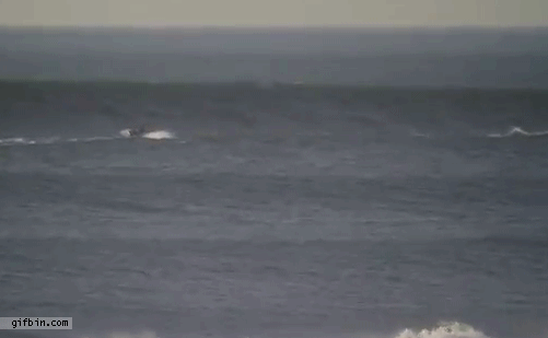 Boat Vs. Big Wave | Best Funny Gifs Updated Daily