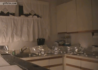 Cat Tin Foil Counter Surprise | Best Funny Gifs Updated Daily