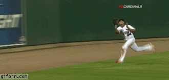 Baseball Catch Fail Knock-out | Best Funny Gifs Updated Daily