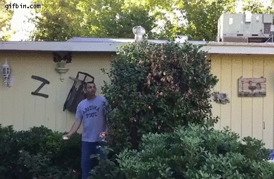 Guy Catches Flying Egg In Mouth | Best Funny Gifs Updated Daily