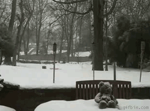 Time-lapse Snow Fall | Best Funny Gifs Updated Daily