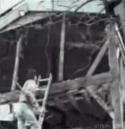 Demolition Fail | Best Funny Gifs Updated Daily