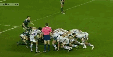 Rugby Referee Gets Tackled | Best Funny Gifs Updated Daily
