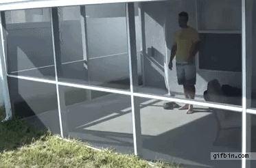 Jumping Through Window Fail | Best Funny Gifs Updated Daily