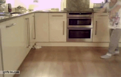 Kitchen Somersault Fail | Best Funny Gifs Updated Daily