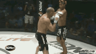 Knock Out Fap | Best Funny Gifs Updated Daily