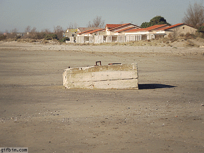 Long Beach Dolly Zoom | Best Funny Gifs Updated Daily