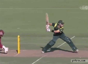 Amazing One-handed Cricket Catch (Kieron Pollard) | Best Funny Gifs ...
