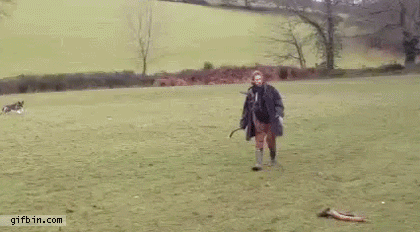 Dog Jumps Over River While Fetching Stick | Best Funny Gifs Updated Daily