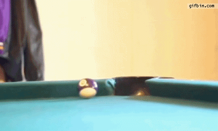 Kitten In Pool Pocket | Best Funny Gifs Updated Daily