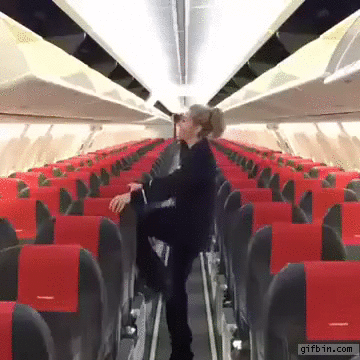 Flexible Flight Attendant | Best Funny Gifs Updated Daily