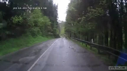 Car Gets Caught Under Falling Trees | Best Funny Gifs Updated Daily