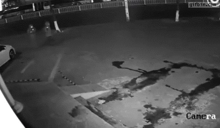 Funny Burglary Fail | Best Funny Gifs Updated Daily