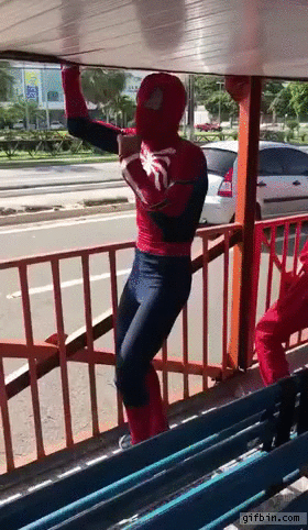 IRL Spider-Man | Best Funny Gifs Updated Daily