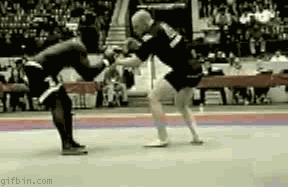 Fighting | Best Funny Gifs Updated Daily