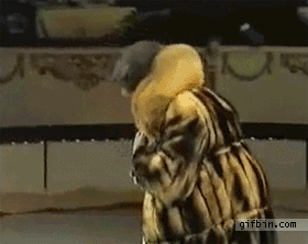 Fur Coat Comes To Life | Best Funny Gifs Updated Daily