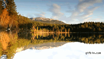 Lake Reflection | Best Funny Gifs Updated Daily