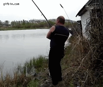 Cat Steals Fisherman's Catch | Best Funny Gifs Updated Daily