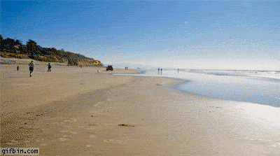 Beach Zoom | Best Funny Gifs Updated Daily