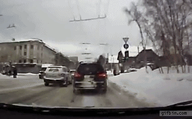 Horse Runs Into Car In Intersection | Best Funny Gifs Updated Daily