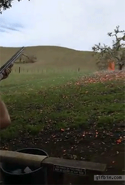 Trap Shooter Catches Piece Of Trap | Best Funny Gifs Updated Daily