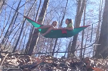 Tree Falls On Girls In Hammock | Best Funny Gifs Updated Daily
