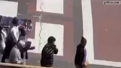 Stealing Phone Teamwork | Best Funny Gifs Updated Daily