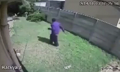 Small Dog Chases Thief Off Property | Best Funny Gifs Updated Daily