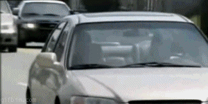 Professional Police Car Chase | Best Funny Gifs Updated Daily
