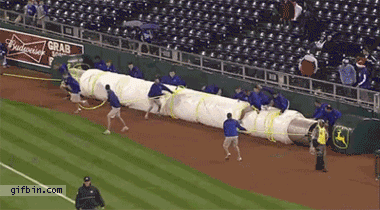 Guy Gets Steamrolled By Tarp | Best Funny Gifs Updated Daily