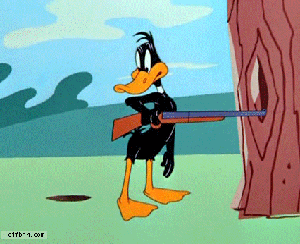 Daffy Duck With Shotgun | Best Funny Gifs Updated Daily
