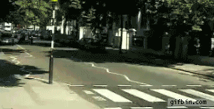 Snail Crosses Road | Best Funny Gifs Updated Daily