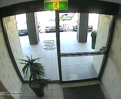 Thief Smashes Through Glass Window | Best Funny Gifs Updated Daily