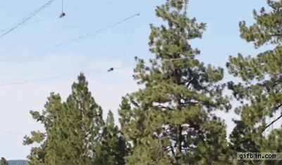 Zipline Break Fail Accident | Best Funny Gifs Updated Daily