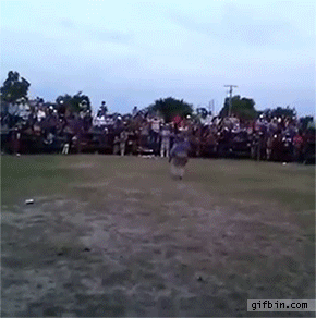 Rodeo Backflipping Fail | Best Funny Gifs Updated Daily