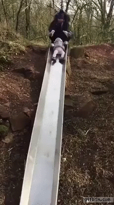 Slow Slide | Best Funny Gifs Updated Daily