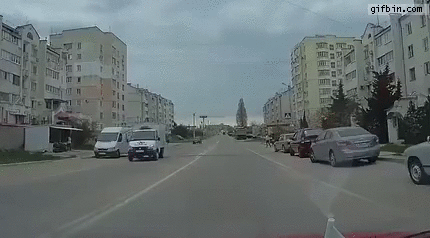 Holding dog's paw while crossing the street - Full screen | Best Funny ...