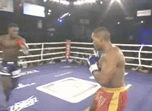 Head-kick KO | Best Funny Gifs Updated Daily