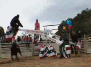Jackass Bullfighting | Best Funny Gifs Updated Daily