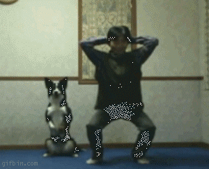 Dog Working Out With Owner | Best Funny Gifs Updated Daily