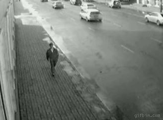 Almost Hit By Car | Best Funny Gifs Updated Daily