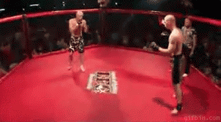 Double KO | Best Funny Gifs Updated Daily