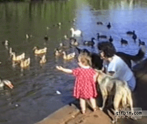 Girl Falls In The Water | Best Funny Gifs Updated Daily