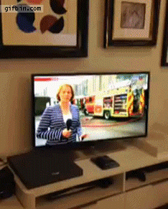 Reporting Live From Outside The Building | Best Funny Gifs Updated Daily