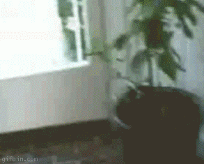 Breakdancing Baby | Best Funny Gifs Updated Daily