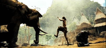 Ong Bak 2 - Back Flip Kick | Best Funny Gifs Updated Daily